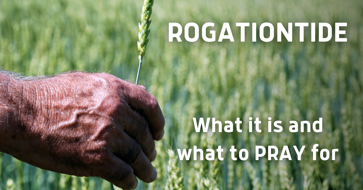 Rogationtide: Seasons in God's Hands - LLandaff Diocese